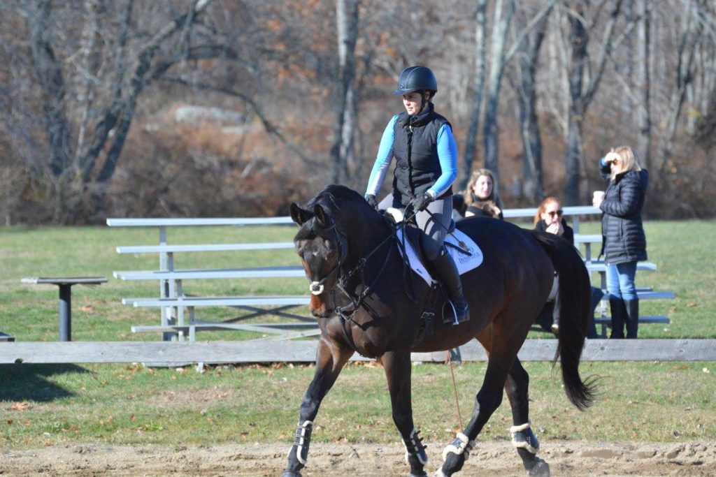 Horses – Invictus Eventing