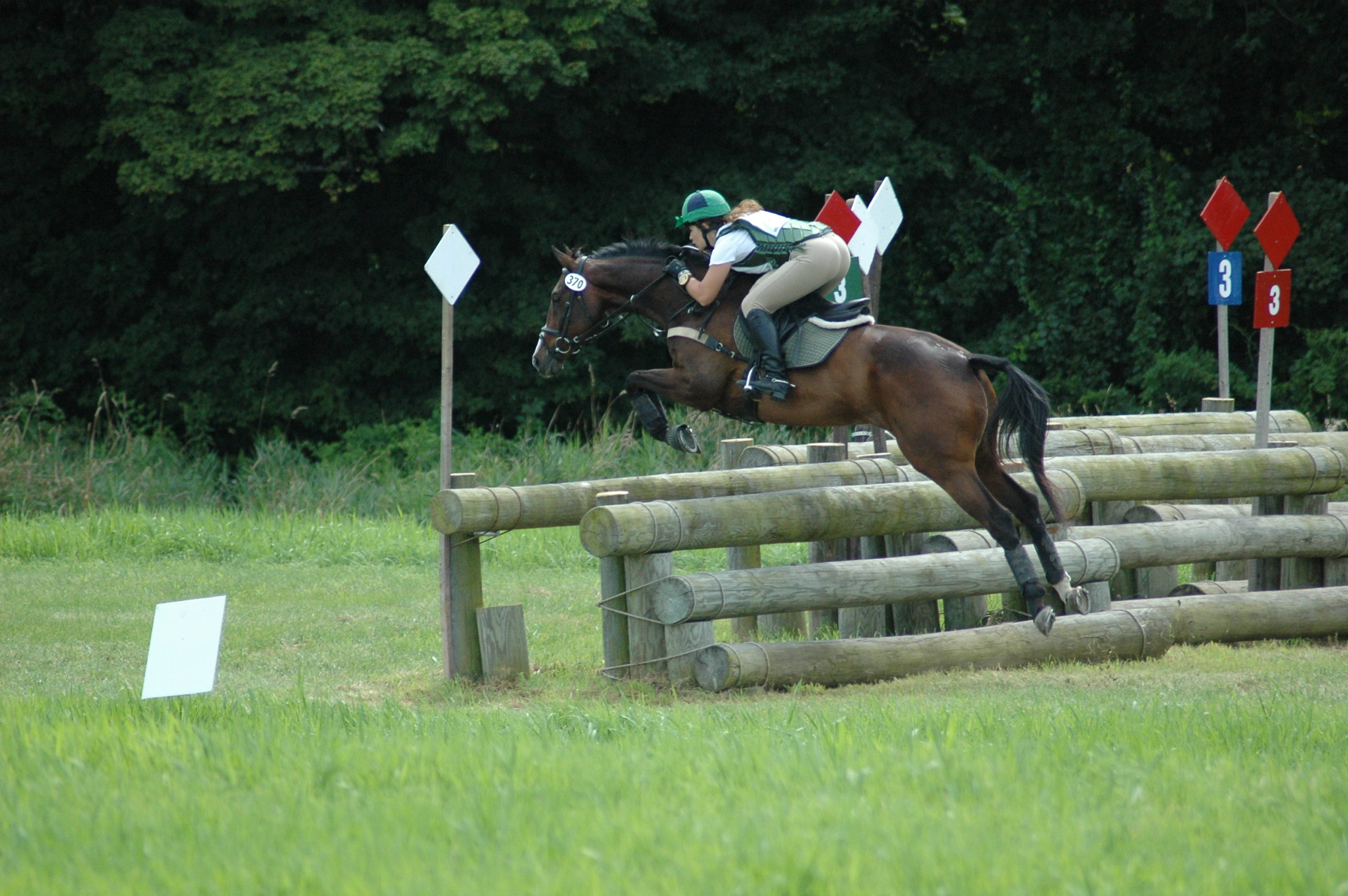 Horses – Invictus Eventing
