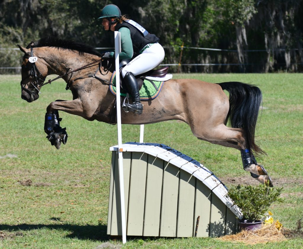 Horses – Invictus Eventing